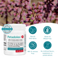 Petadolex® - 75mg PA-free Butterbur Supplement – Petadolex® USA